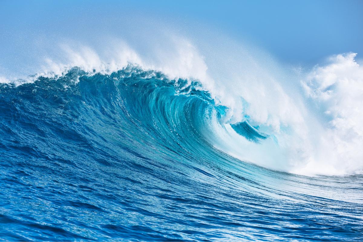 Aguas oceánicas: definición características y su relevancia esencial ...
