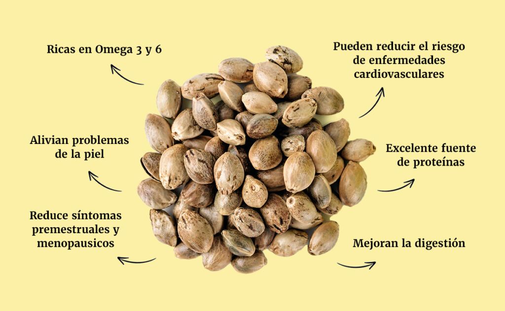 Beneficios nutricionales de las semillas de cáñamo - Ecoarmonia