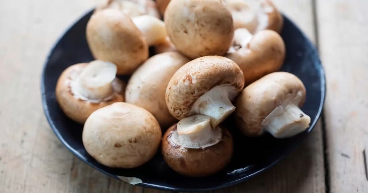 Champiñones: propiedades beneficios y riesgos a considerar - Ecoarmonia