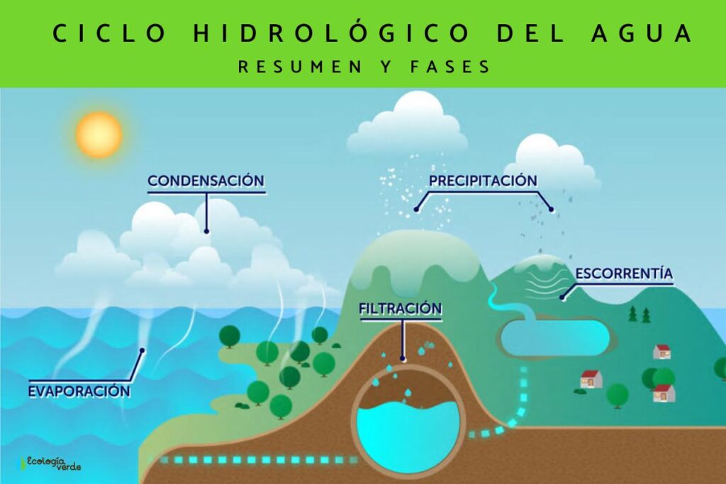 Ciclo Hidrológico: Fases y Significado Esencial para la Tierra - Ecoarmonia