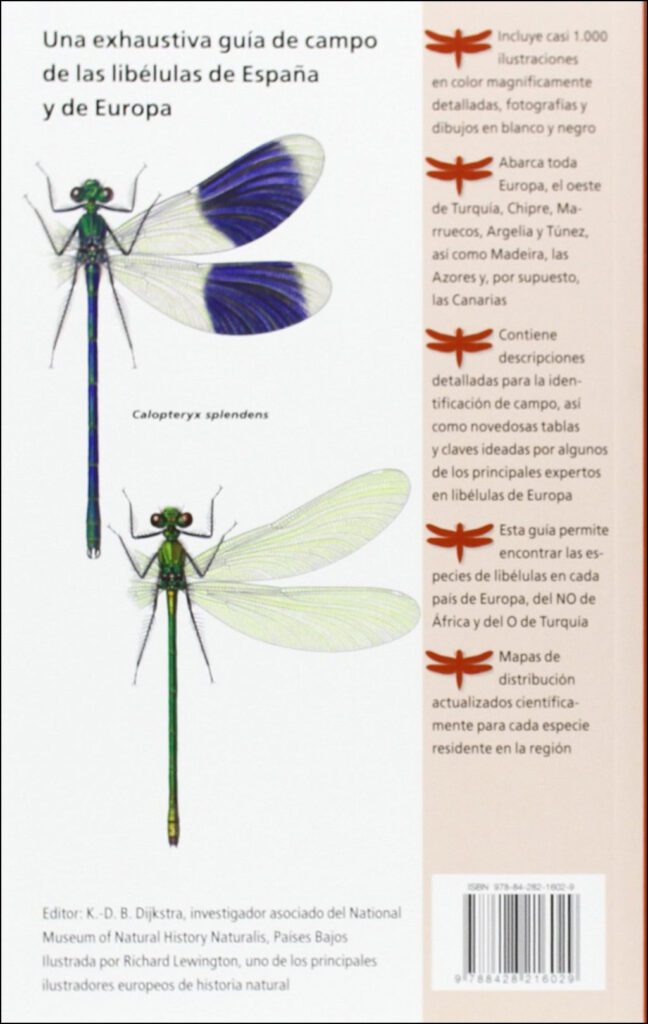 Clasificación de libélulas: especies y características esenciales ...