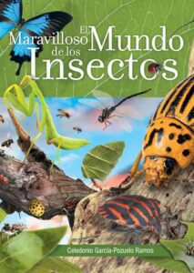 Clasificación de los insectos: un mundo sorprendente de especies ...