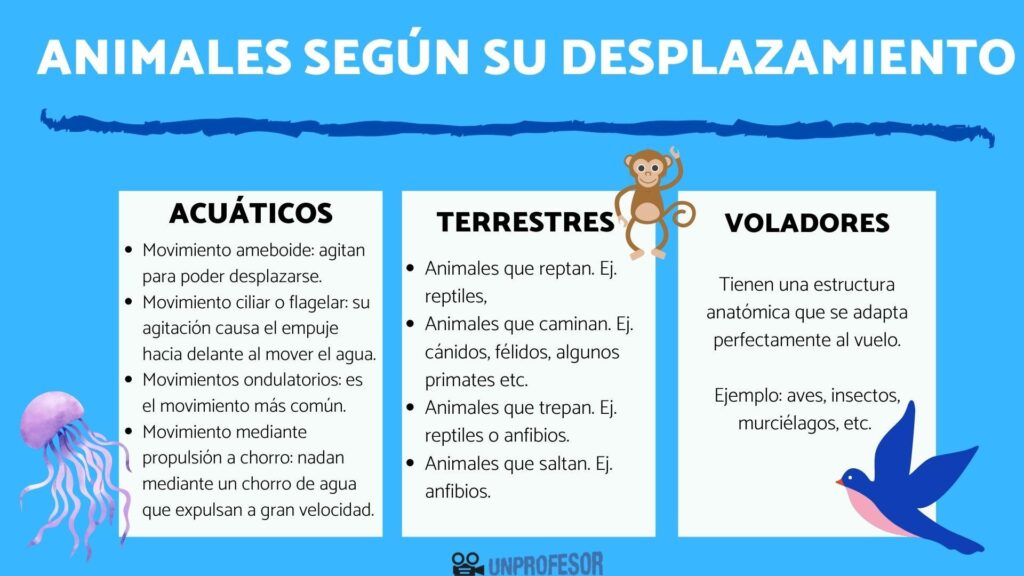 Comparativa de características de animales acuáticos y terrestres ...