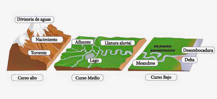Componentes del río y sus principales características - Ecoarmonia