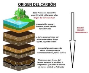 Composición y formación de los combustibles fósiles - Ecoarmonia