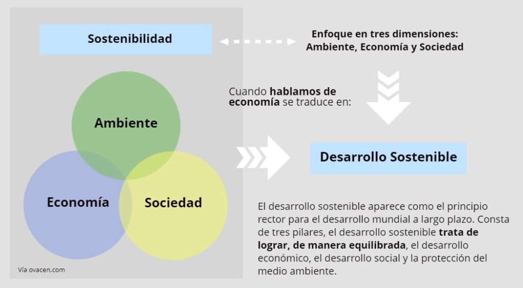 Desarrollo sostenible: Definición y ejemplos clave - Ecoarmonia
