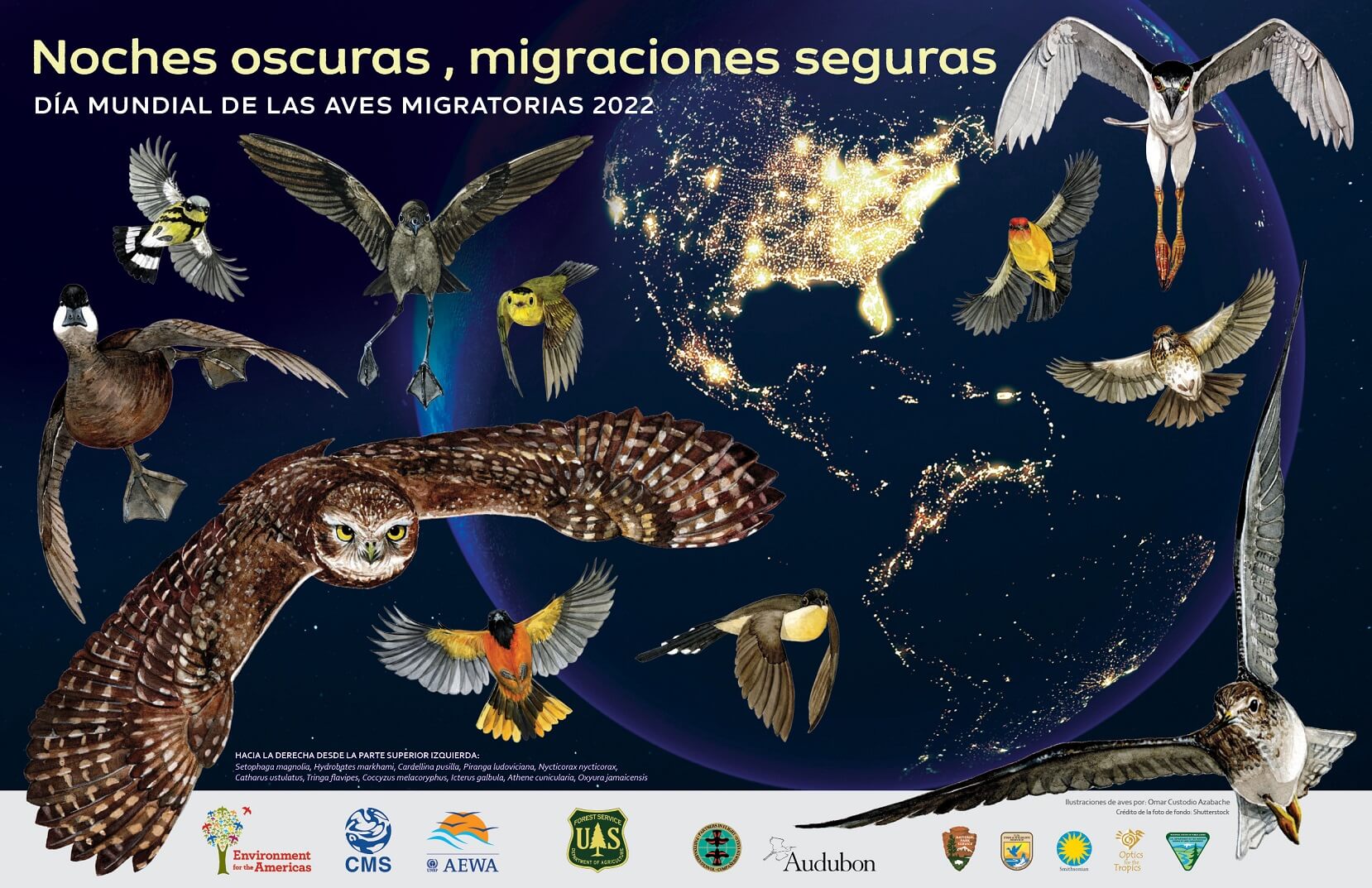 Día Mundial de las Aves Migratorias: historia y actividades destacadas ...