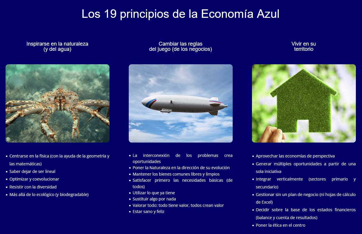 Economía azul: fundamentos y conceptos clave - Ecoarmonia
