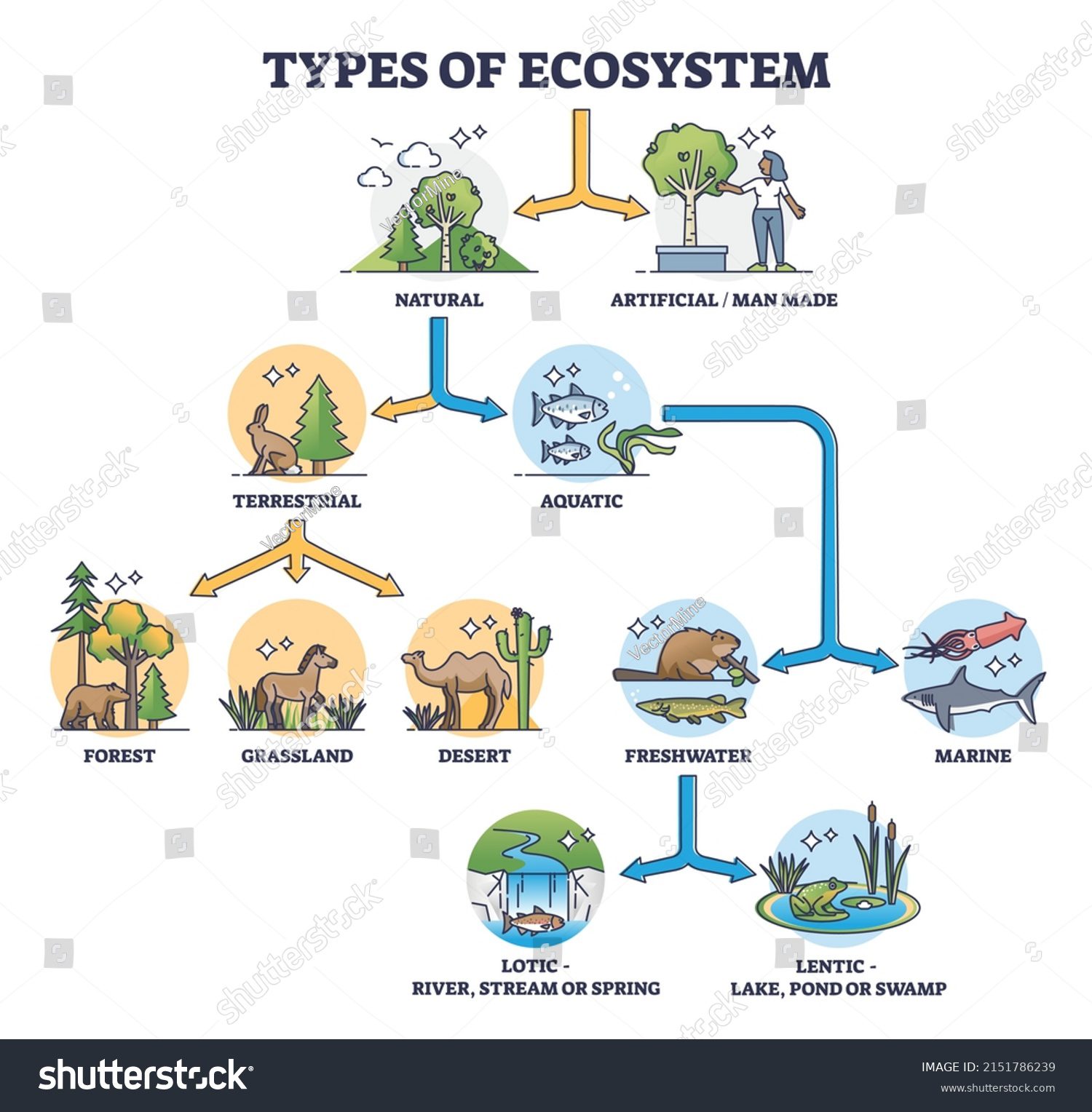 Ecosistemas artificiales: definición y ejemplos ilustrativos - Ecoarmonia