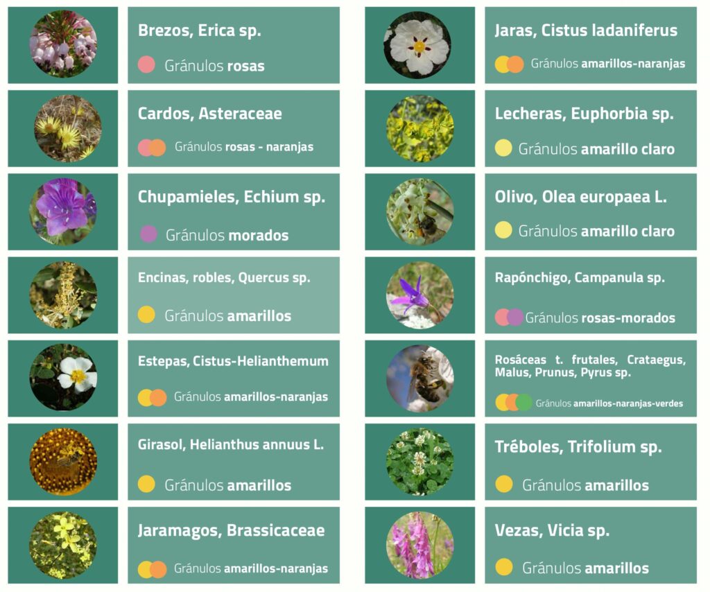 El polen: función y beneficios en la naturaleza - Ecoarmonia