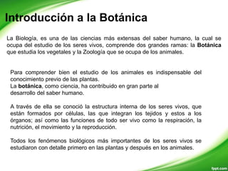 Entiende la botánica: su definición y áreas de estudio - Ecoarmonia