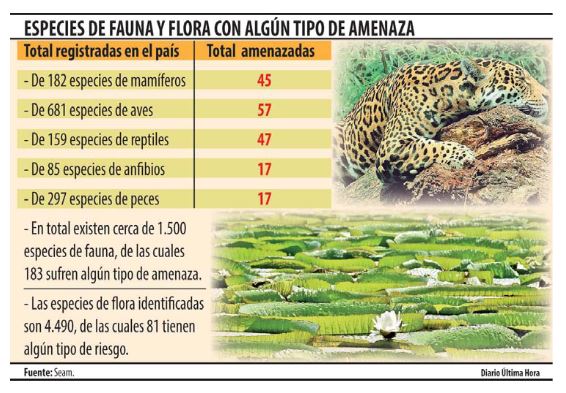 Fauna amenazada en Paraguay y su conservación - Ecoarmonia