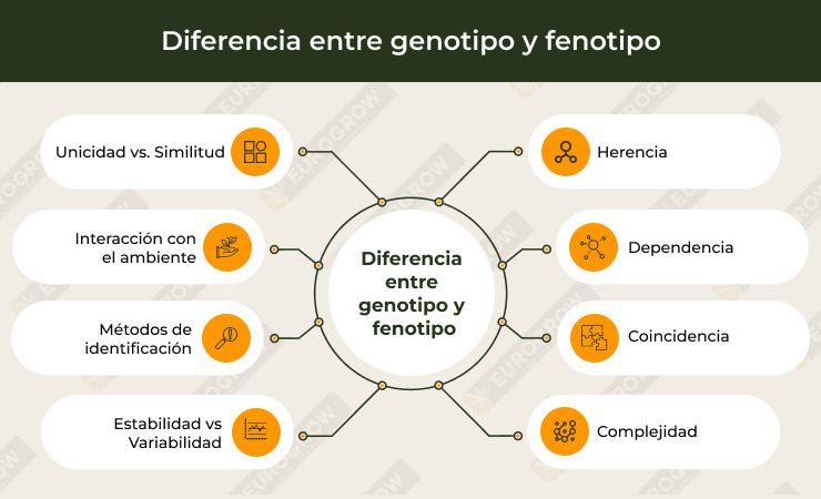 Genotipo y fenotipo: Comprendiendo sus diferencias clave - Ecoarmonia