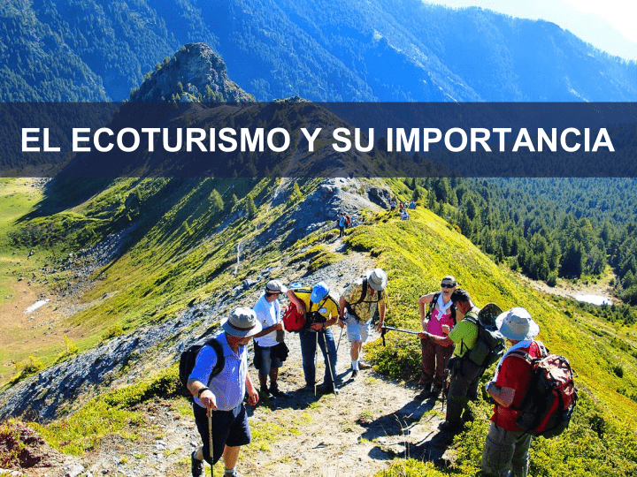 Impacto del ecoturismo en la conservación ambiental - Ecoarmonia