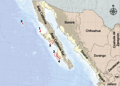 Islas de México: Conoce su impresionante cantidad - Ecoarmonia