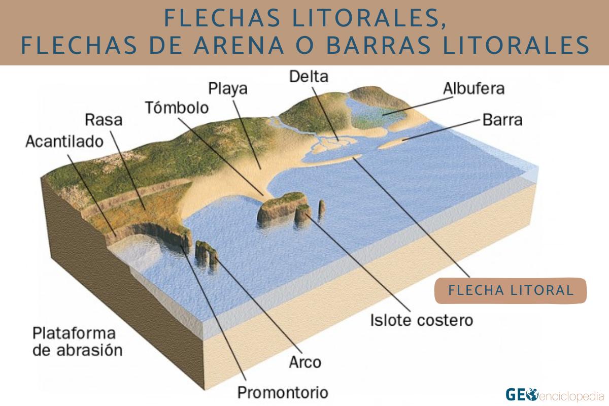 Litorales Definición Tipos Ecosistemas Y Ejemplos Clave Ecoarmonia