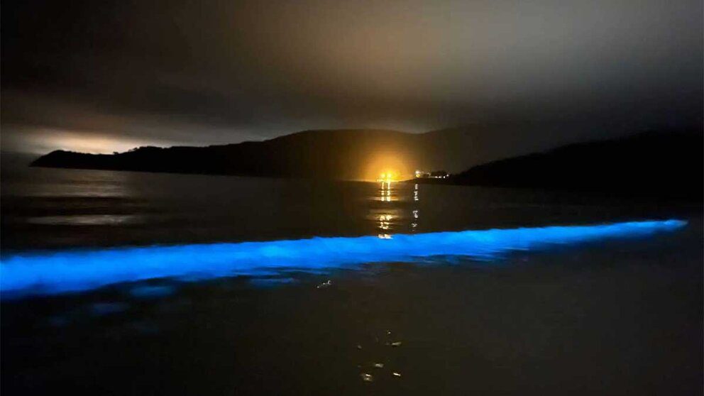 Mar de ardora: playas bioluminiscentes en España que fascinan - Ecoarmonia