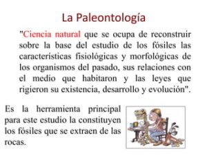 Paleoecología: definición características y su relevancia científica ...