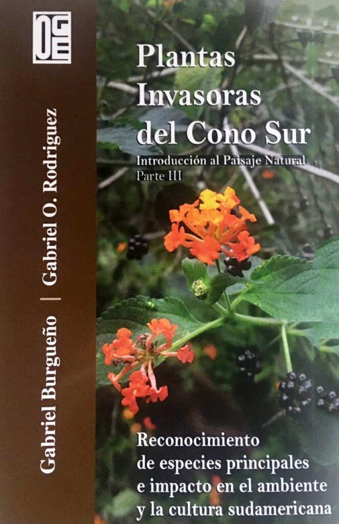 Plantas invasoras: definición y algunas especies destacadas - Ecoarmonia