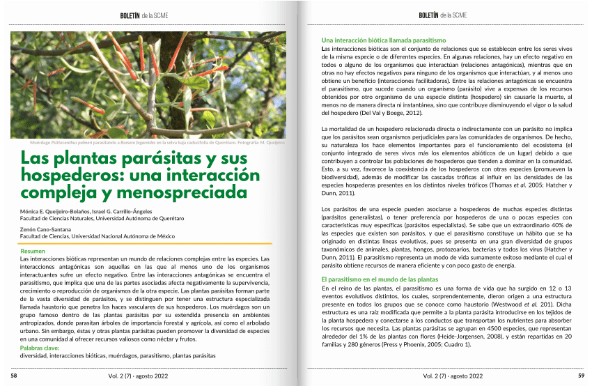 Plantas parásitas: características variedades y casos destacados ...