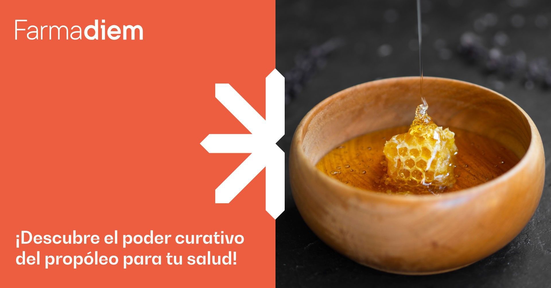 Propóleo: propiedades y beneficios para tu salud y bienestar - Ecoarmonia