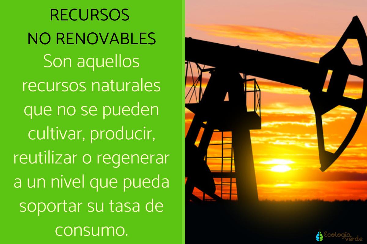 Recursos renovables: definición y ejemplos clave - Ecoarmonia