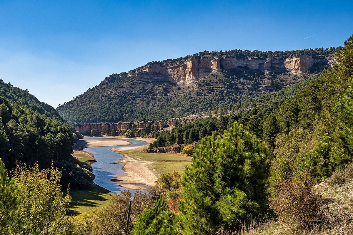 Riqueza Natural: Flora y Fauna de Castilla-La Mancha - Ecoarmonia