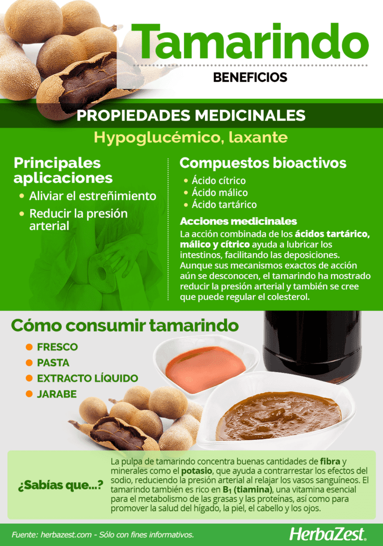 Tamarindo: características propiedades y ventajas para la salud ...