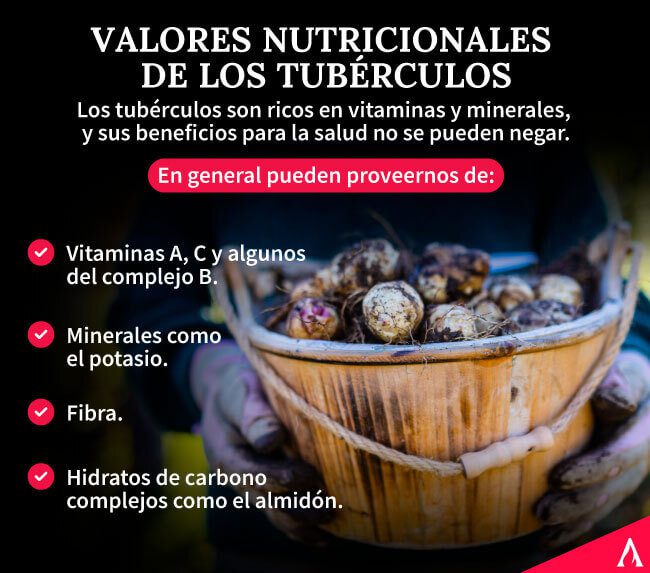 Tubérculos: definición y ejemplos relevantes para conocer - Ecoarmonia