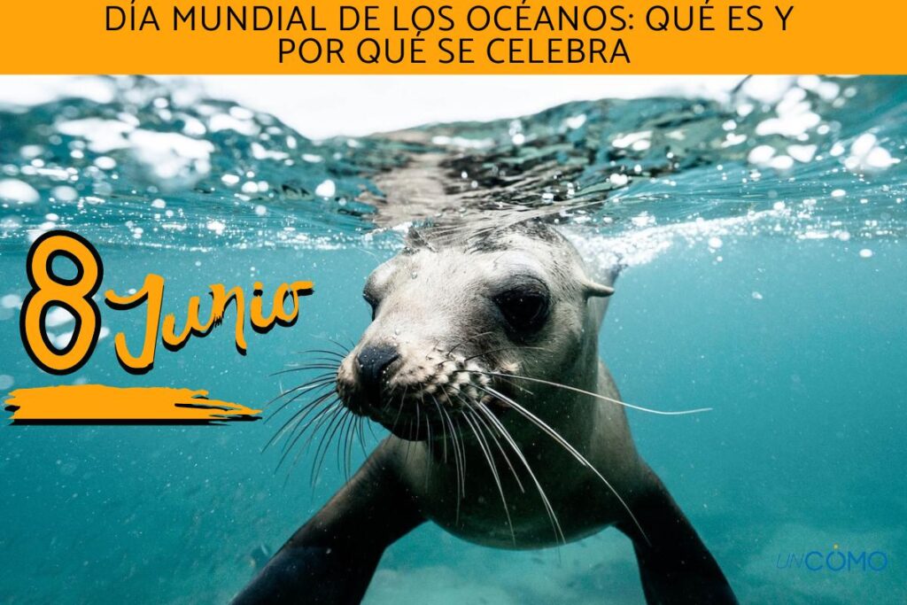 Día Mundial de los Océanos: significado y celebración anual - Ecoarmonia